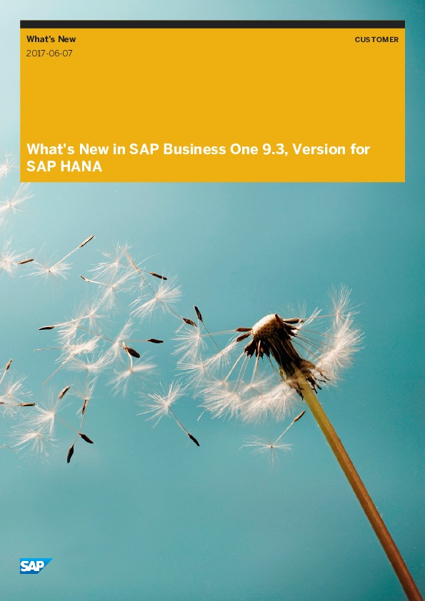 SAP Business One 9.3 New Features